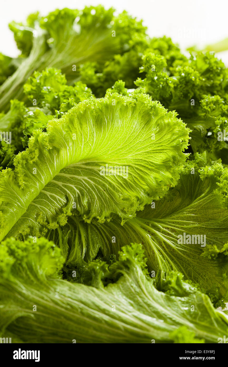 Fresh mustard greens hi-res stock photography and images - Alamy