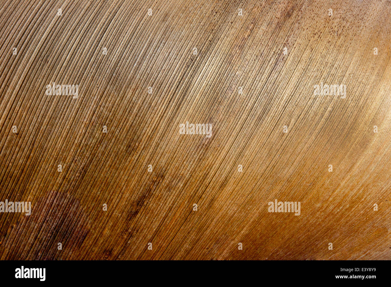 closeup base of palm leaf showing linear pattern Stock Photo - Alamy