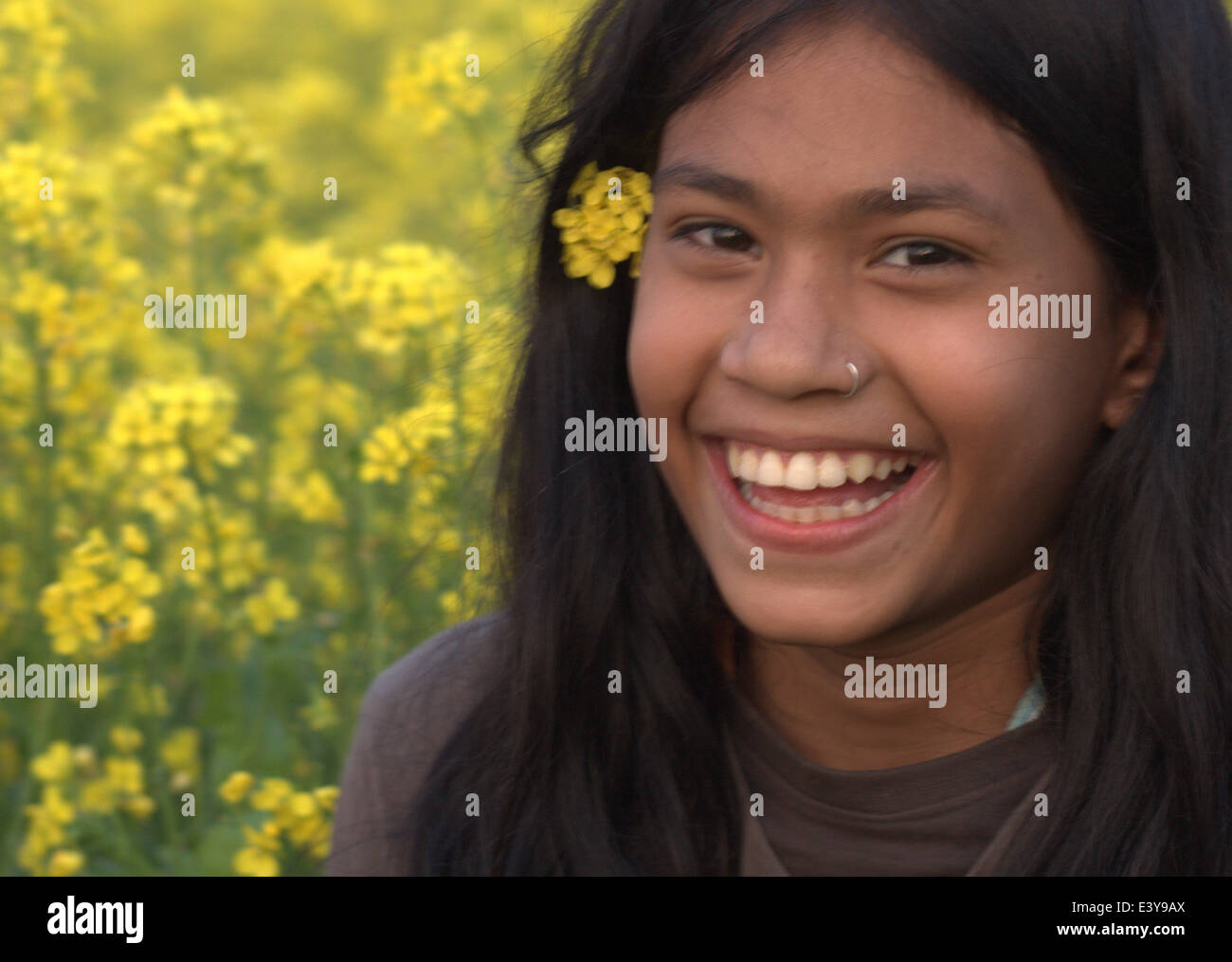 mustard field in Bangladesh Mustard is a cool weather crop and is grown ...