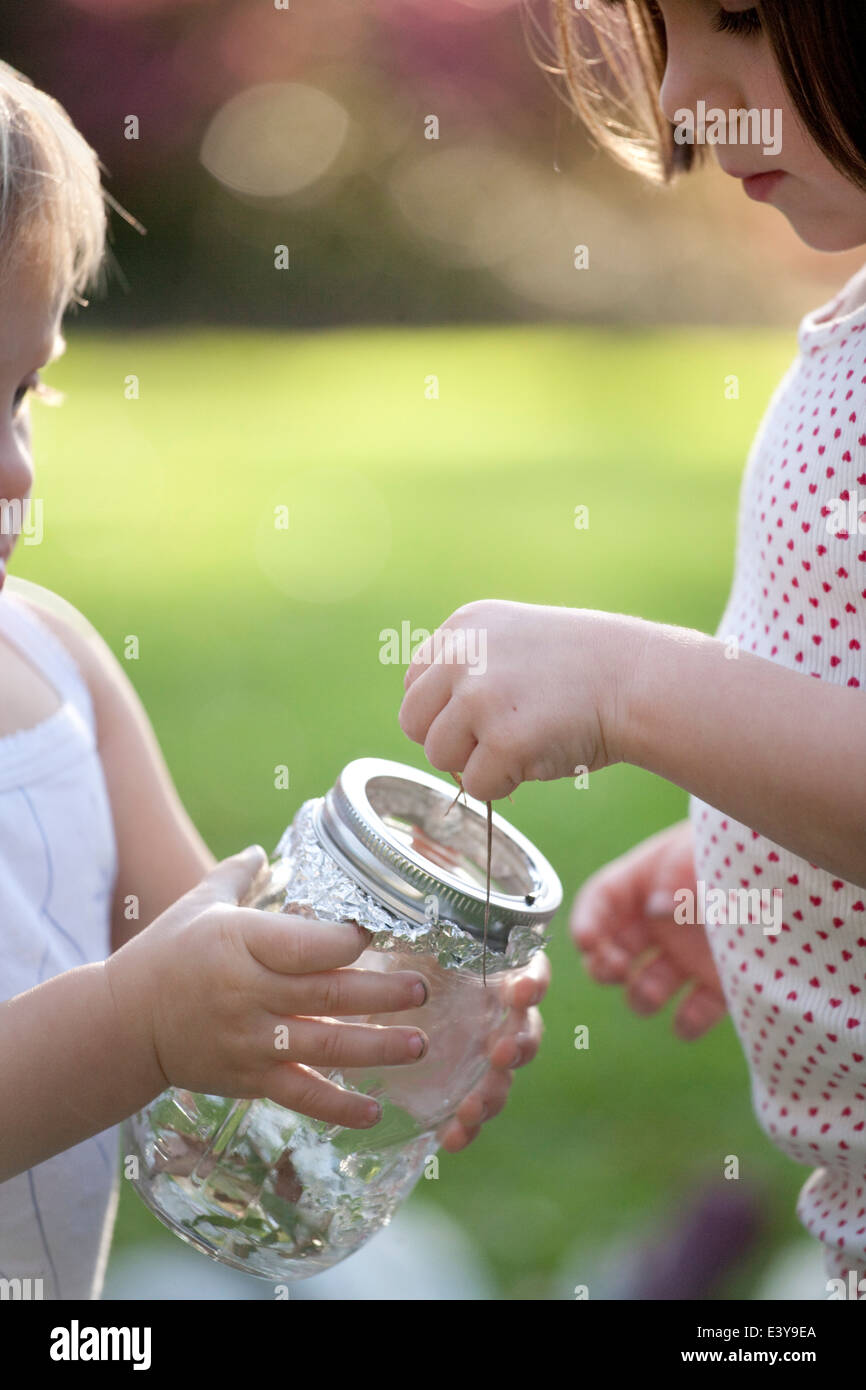 Girl and toddler sister putting green anole lizard in jar Stock Photo ...