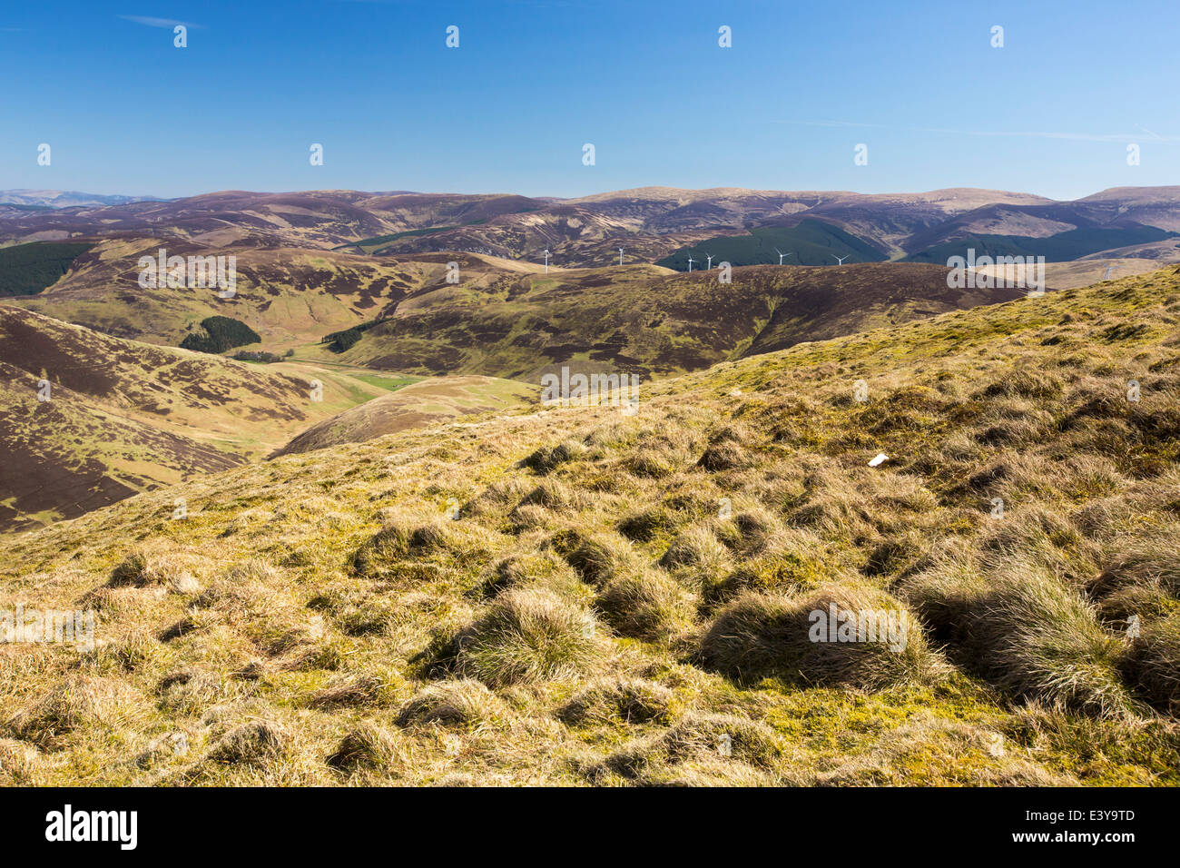 Looking towards King bank head from Culter Fell above Biggar in the ...