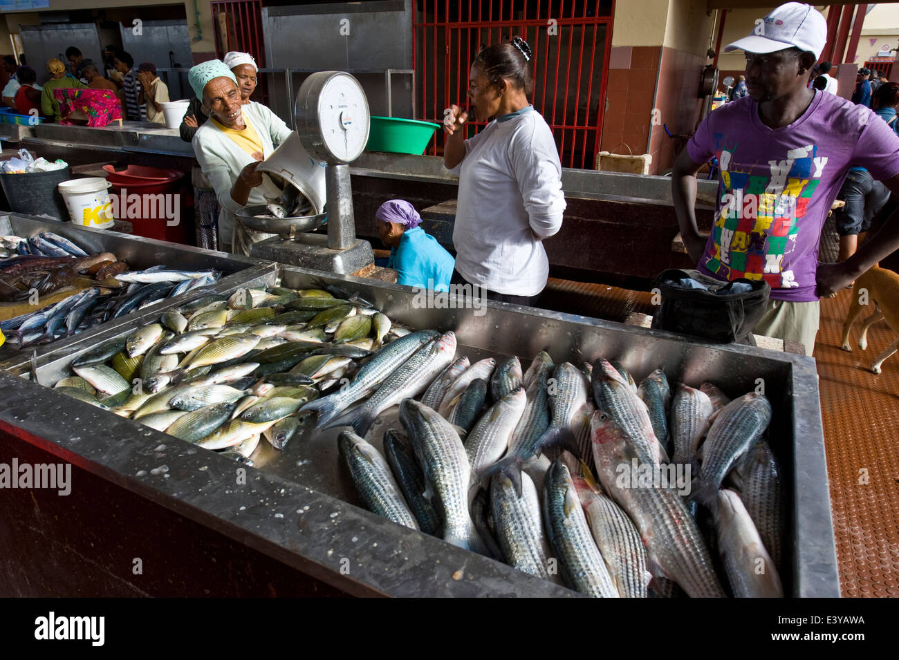 The fish market of Mindelo, Sao Vicente Island, Cape Verde Stock Photo ...