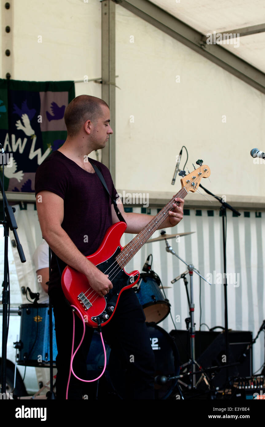 Bass player in a band at the Leamington Peace Festival, Warwickshire ...