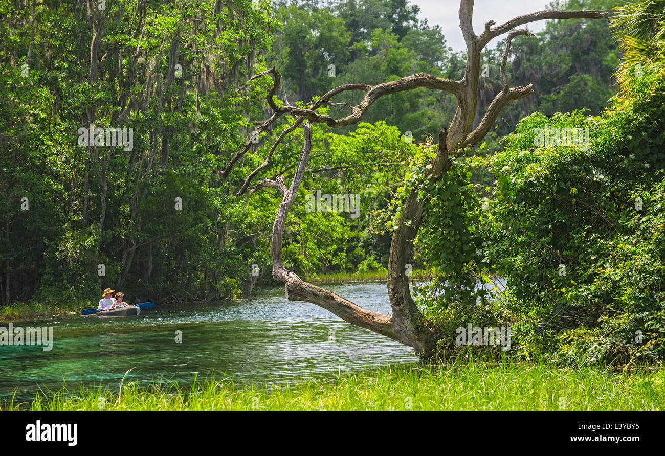 Rainbow Springs State Park is the source of the Rainbow River in North ...
