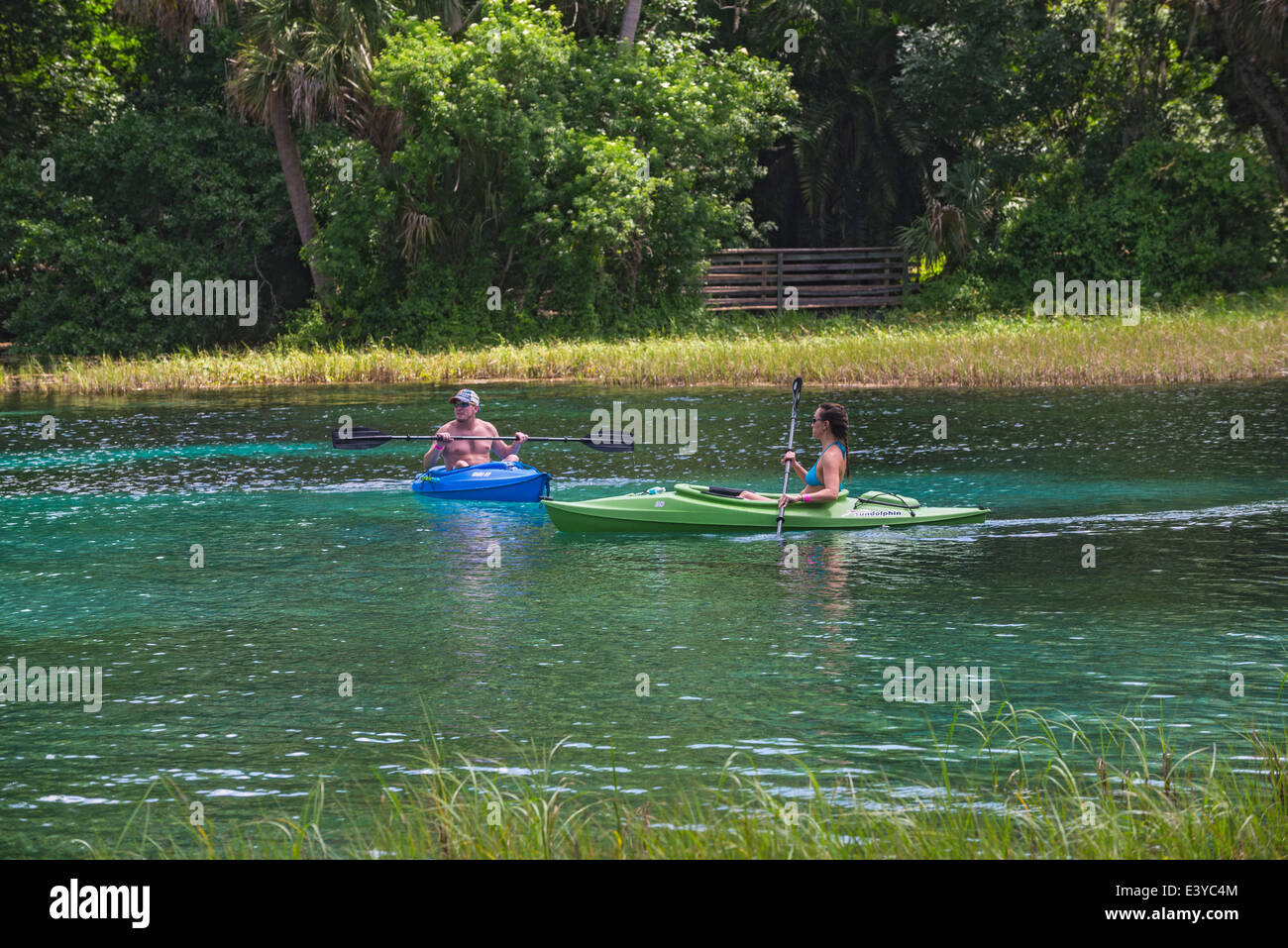Rainbow Springs State Park is the source of the Rainbow River in North ...