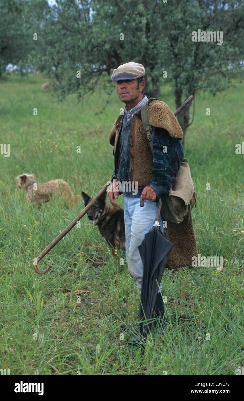 Antonio is a 3rd generation sheepherder, near Beja, Alentejo region ...