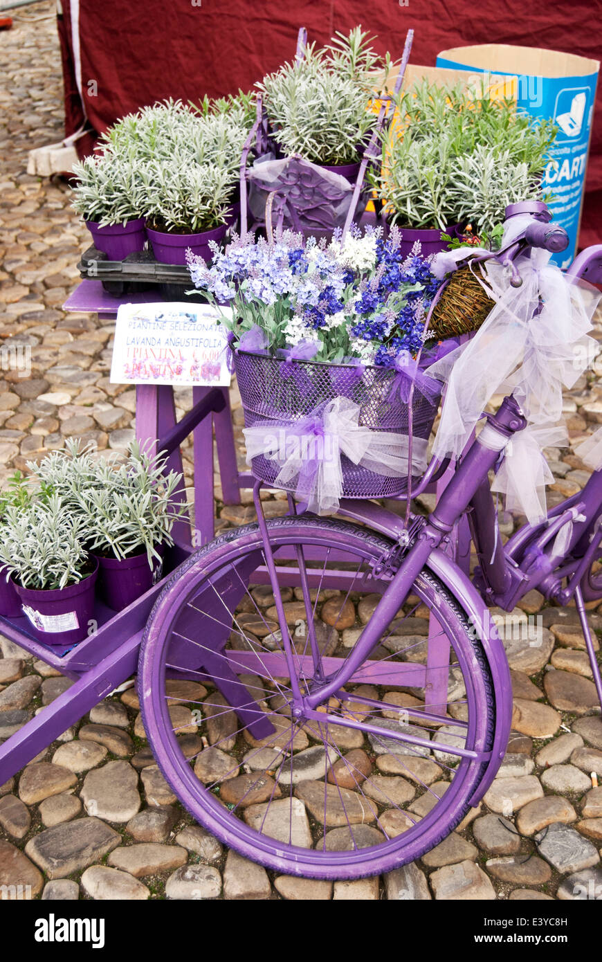 Purple bikes hi-res stock photography and images - Alamy