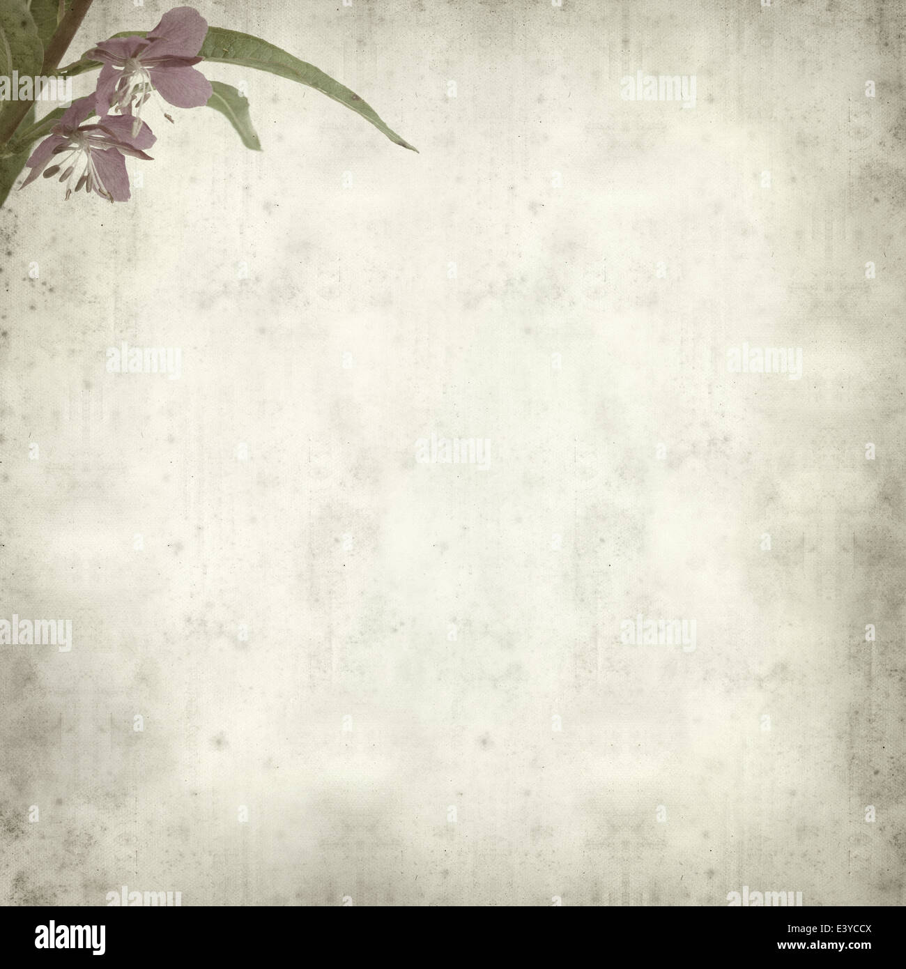 textured old paper background with fireweed Stock Photo - Alamy