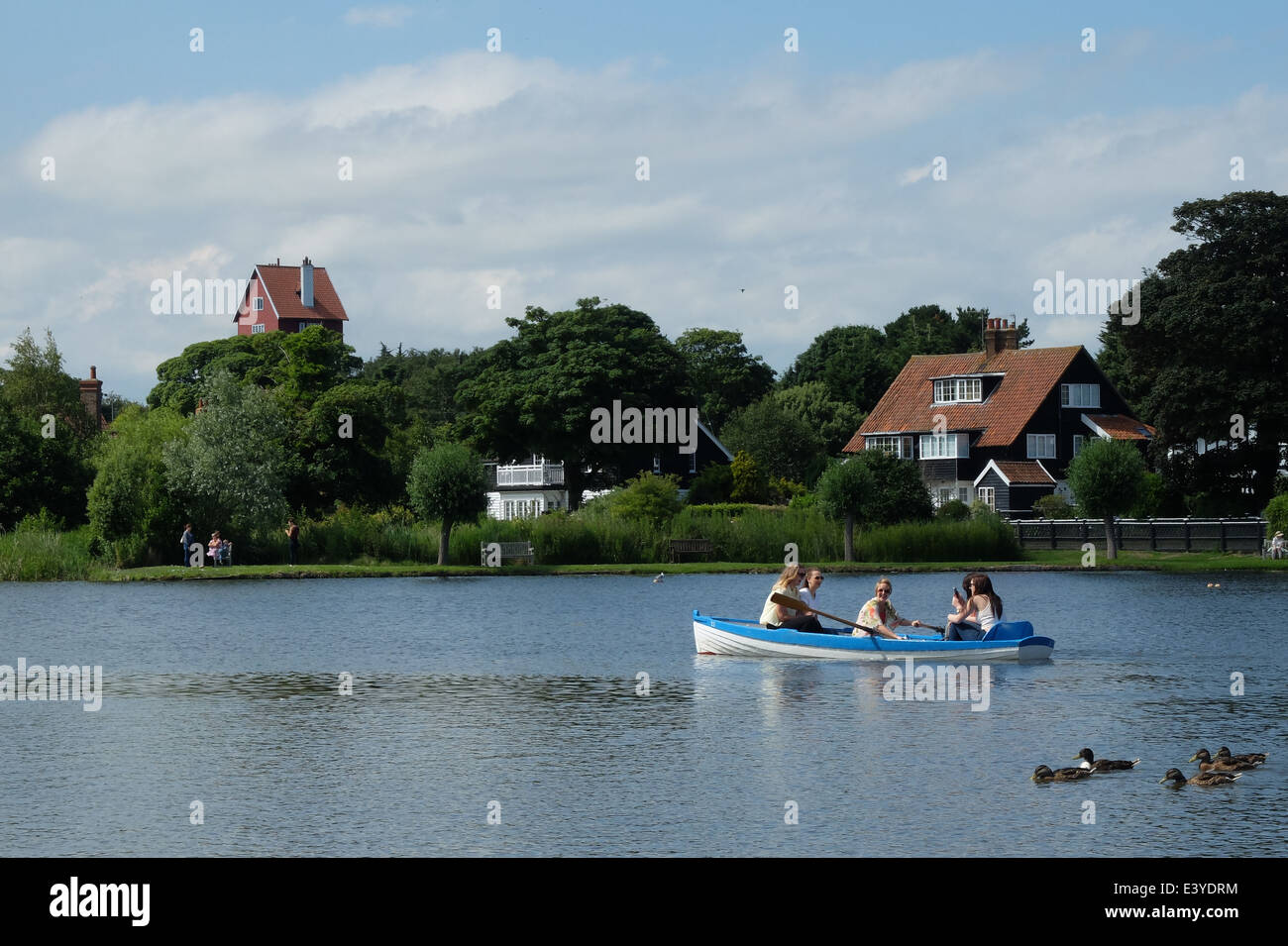 Blue swan boat hi-res stock photography and images - Alamy