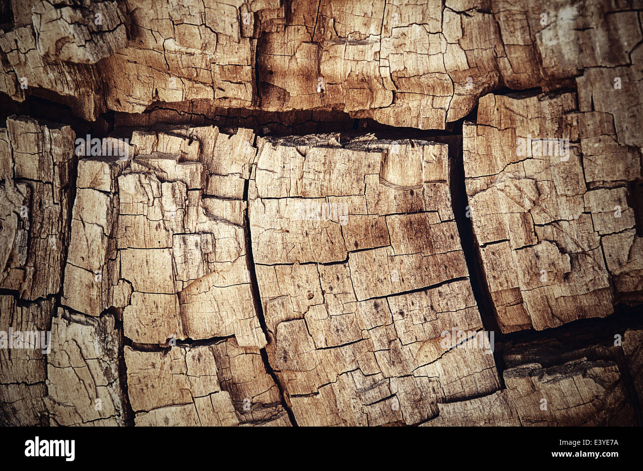 Old cracked wood texture Stock Photo - Alamy