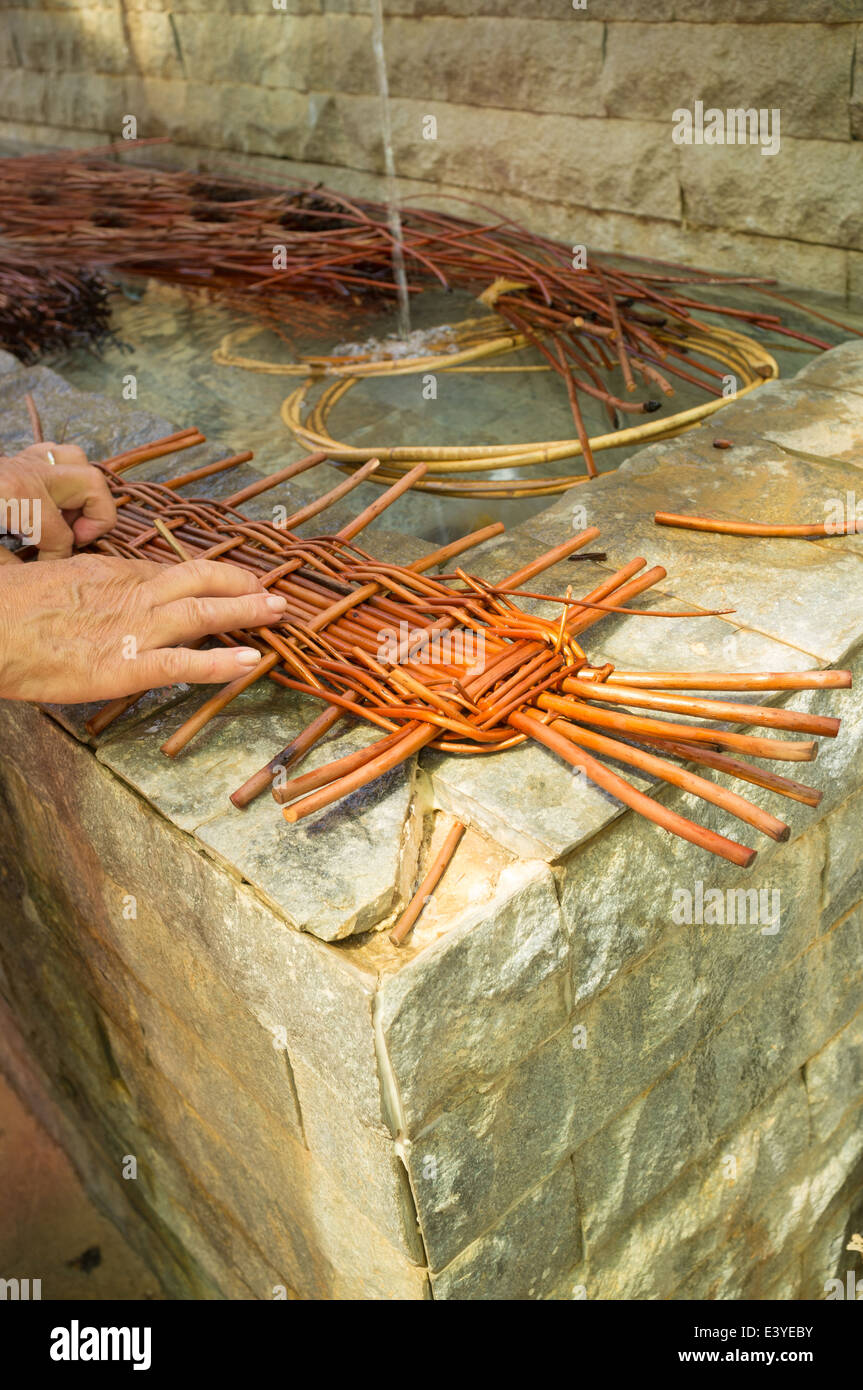 Skilled hands soaking wicker in order to make it flexible Stock Photo ...