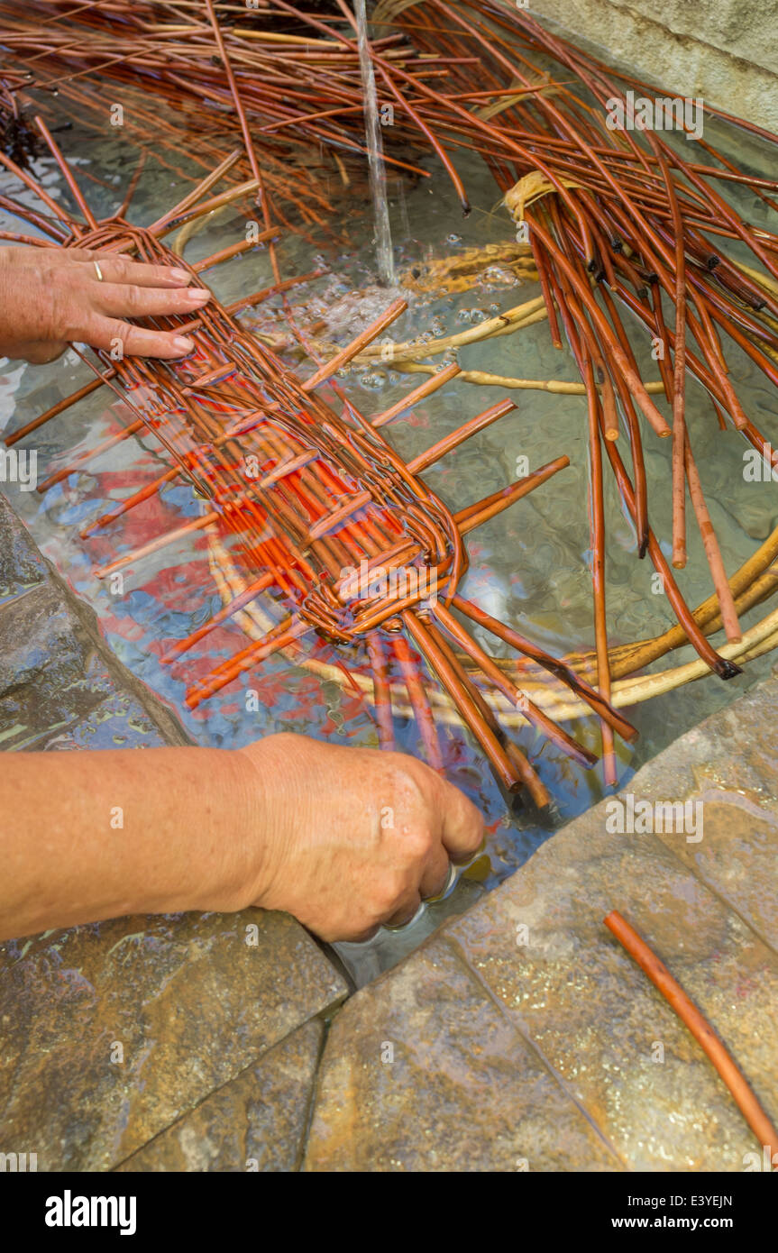 Skilled hands soaking wicker in order to make it flexible Stock Photo ...