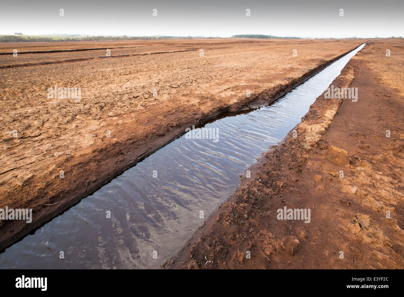 A raised bog being harvested for peat near Douglas water in the ...