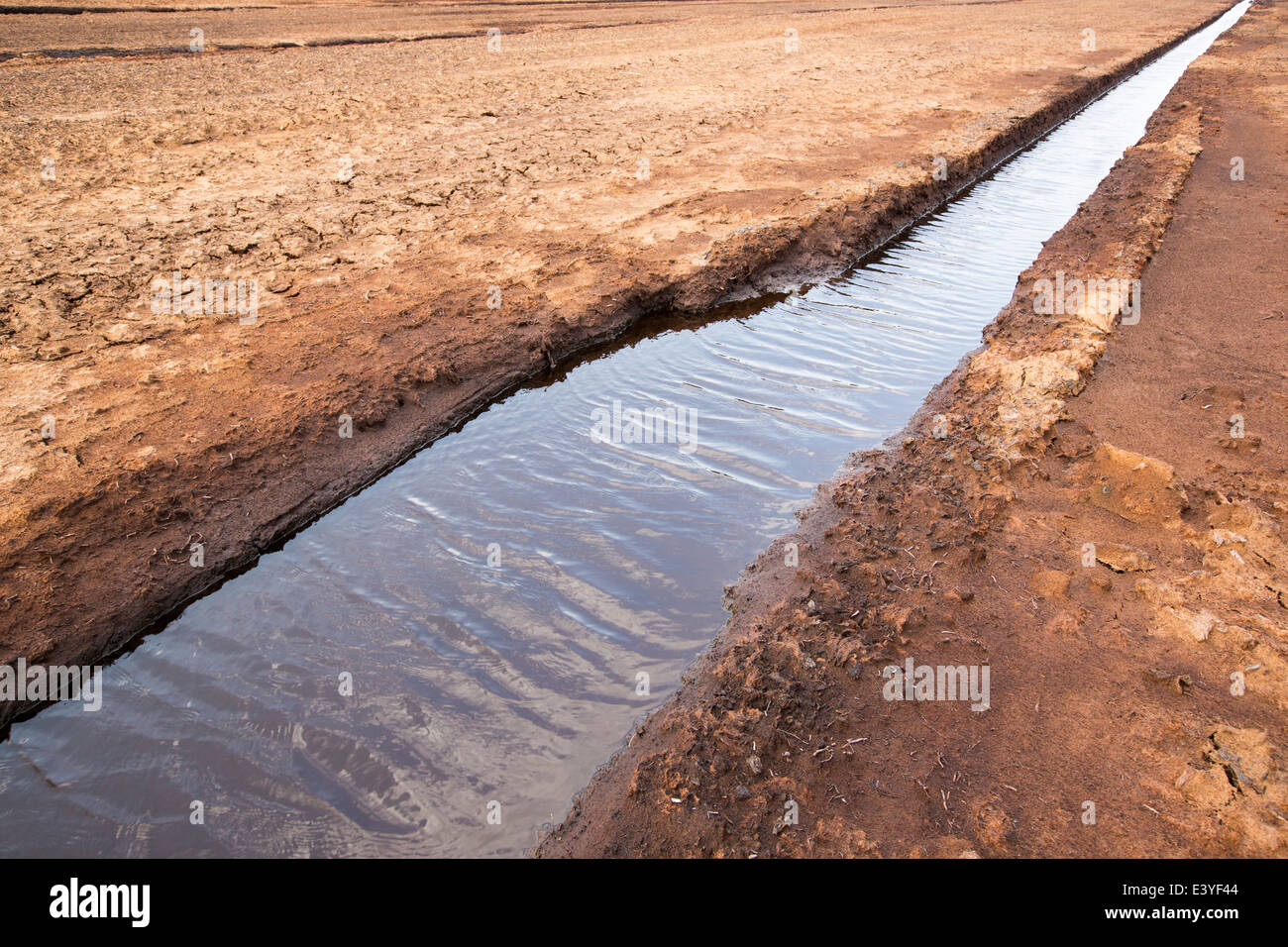 A raised bog being harvested for peat near Douglas water in the ...