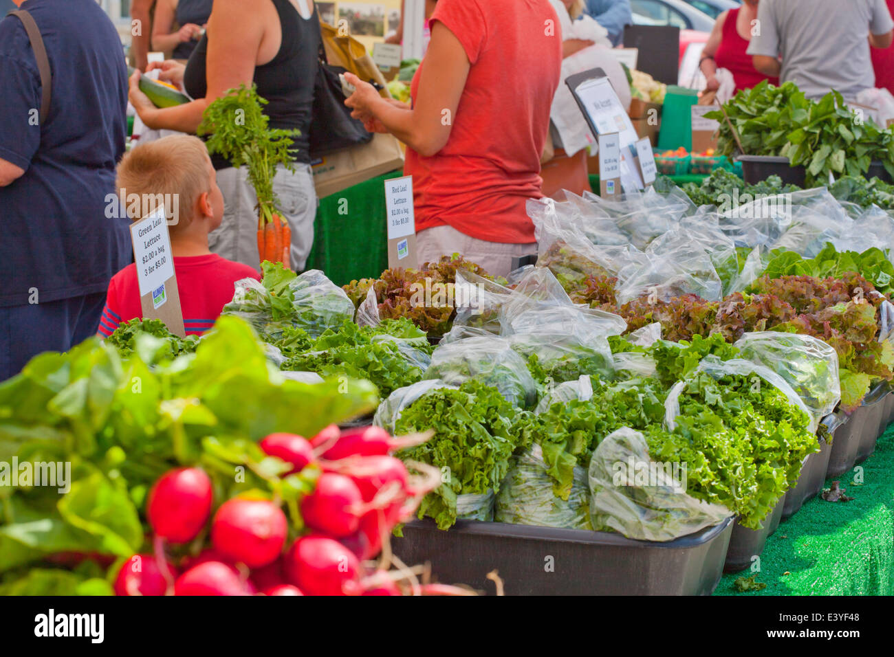 Farmers mark hi-res stock photography and images - Alamy