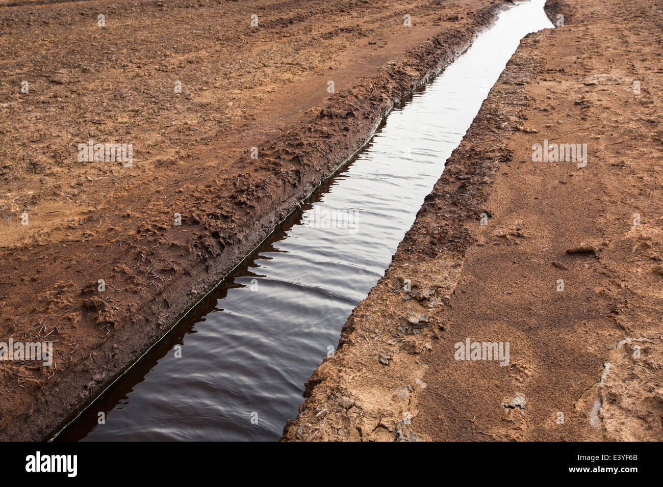 A raised bog being harvested for peat near Douglas water in the ...