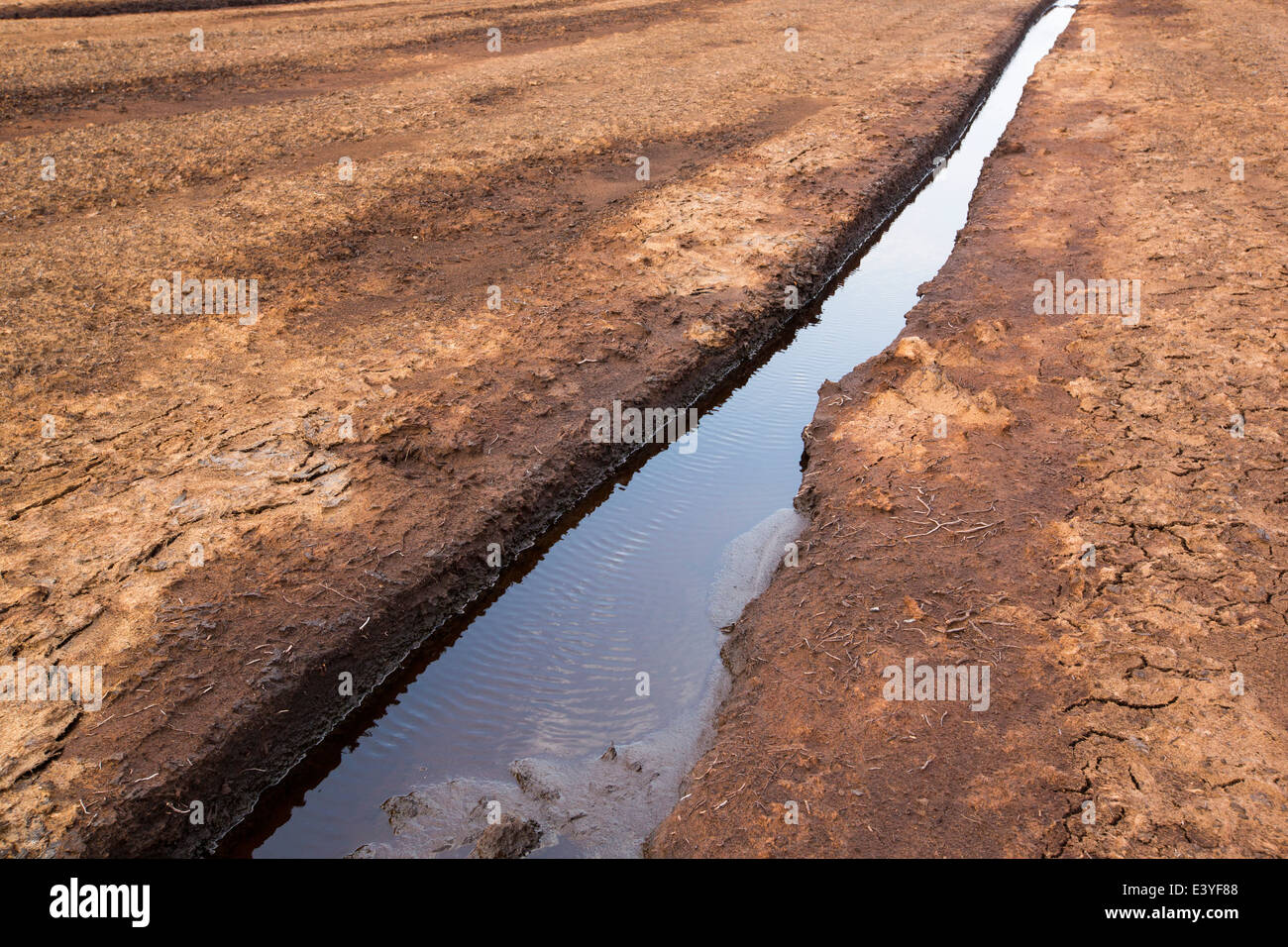 A raised bog being harvested for peat near Douglas water in the ...