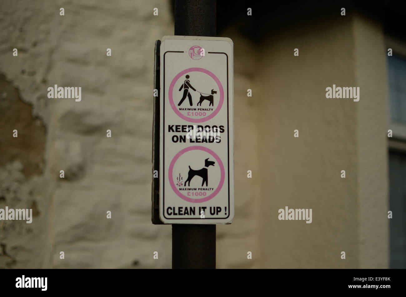 Lamp post dog hi-res stock photography and images - Alamy