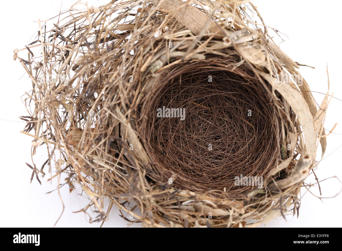 Empty nest house hi-res stock photography and images - Alamy