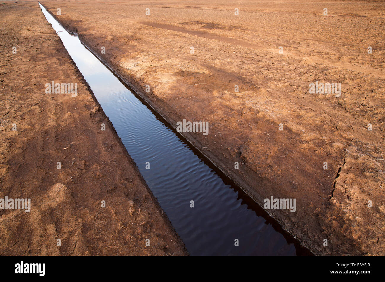A raised bog being harvested for peat near Douglas water in the ...