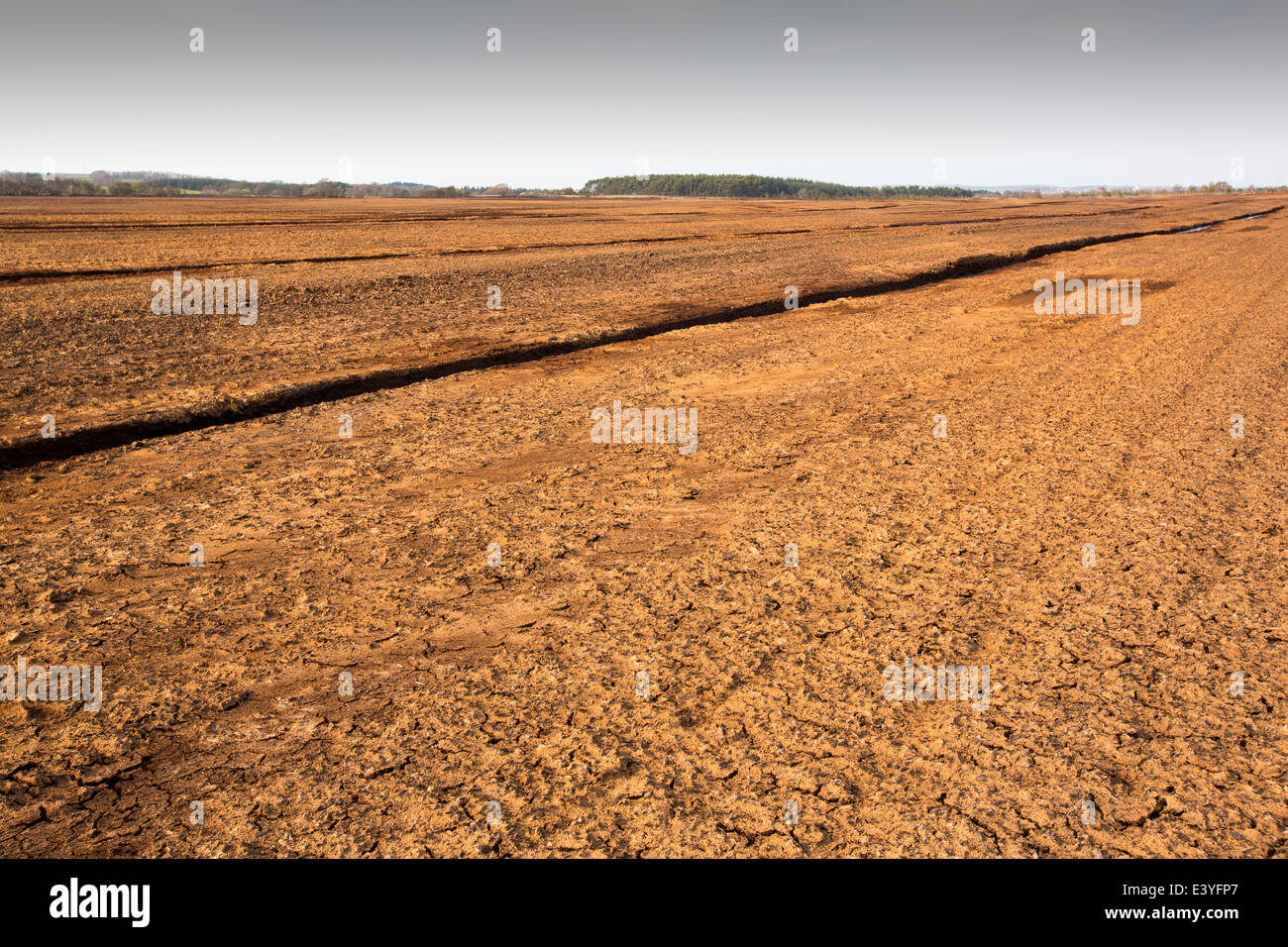 A raised bog being harvested for peat near Douglas water in the ...