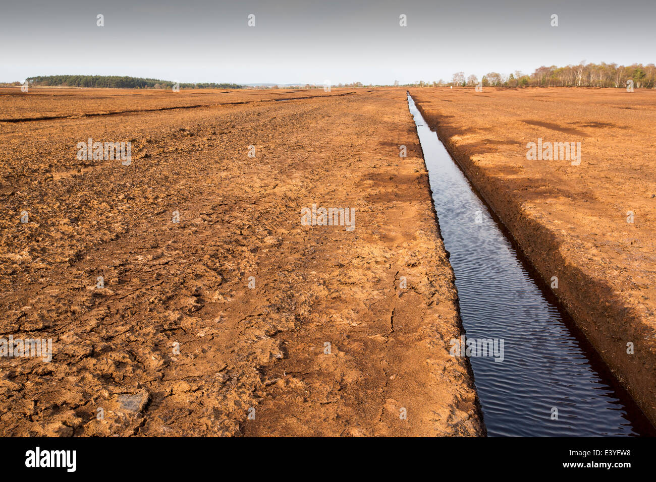 A raised bog being harvested for peat near Douglas water in the ...