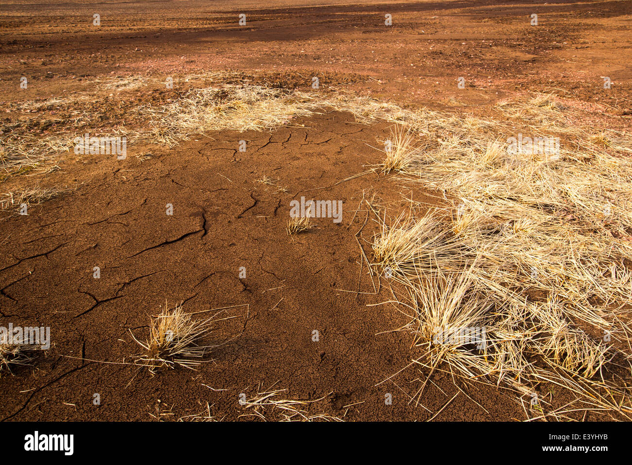 A raised bog being harvested for peat near Douglas water in the ...