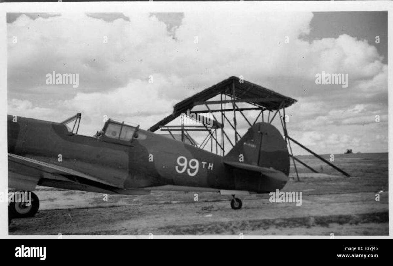 Hawk 2 Black and White Stock Photos & Images - Alamy