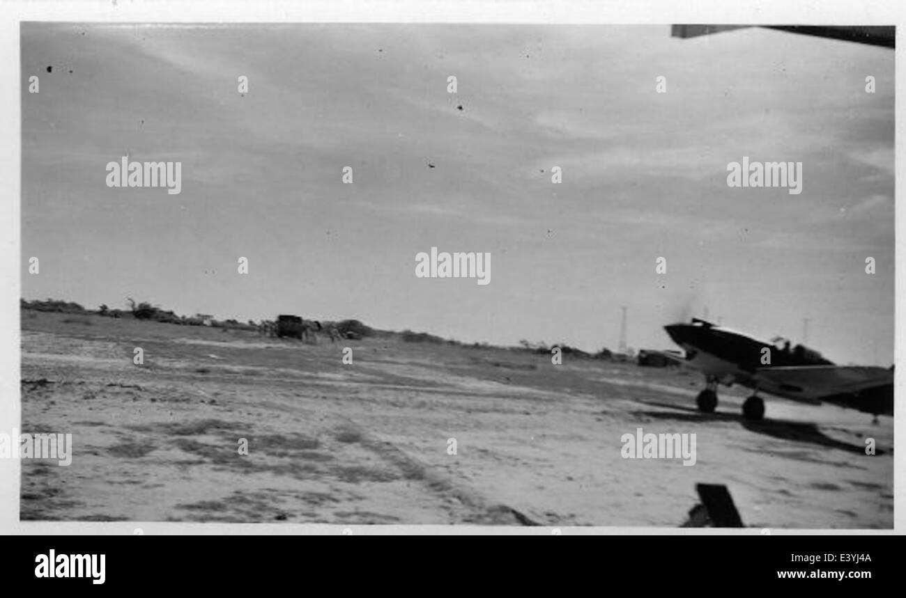 The 99th Squadron P-40, part of the U.S. Army Air Forces during World ...