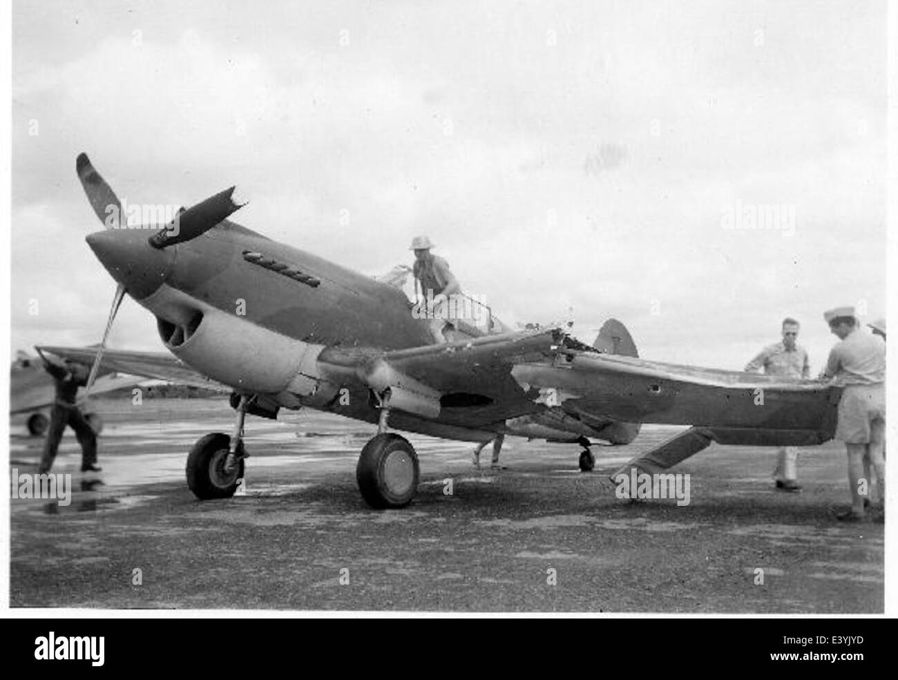 Wing Damage High Resolution Stock Photography and Images - Alamy