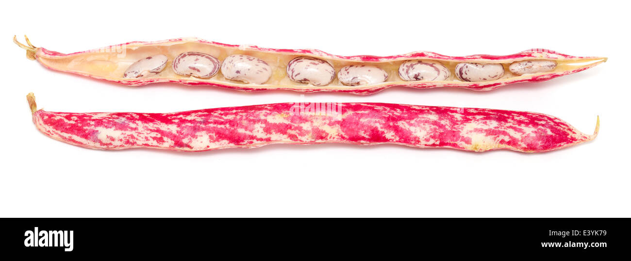 red bean pods isolated on white background Stock Photo - Alamy