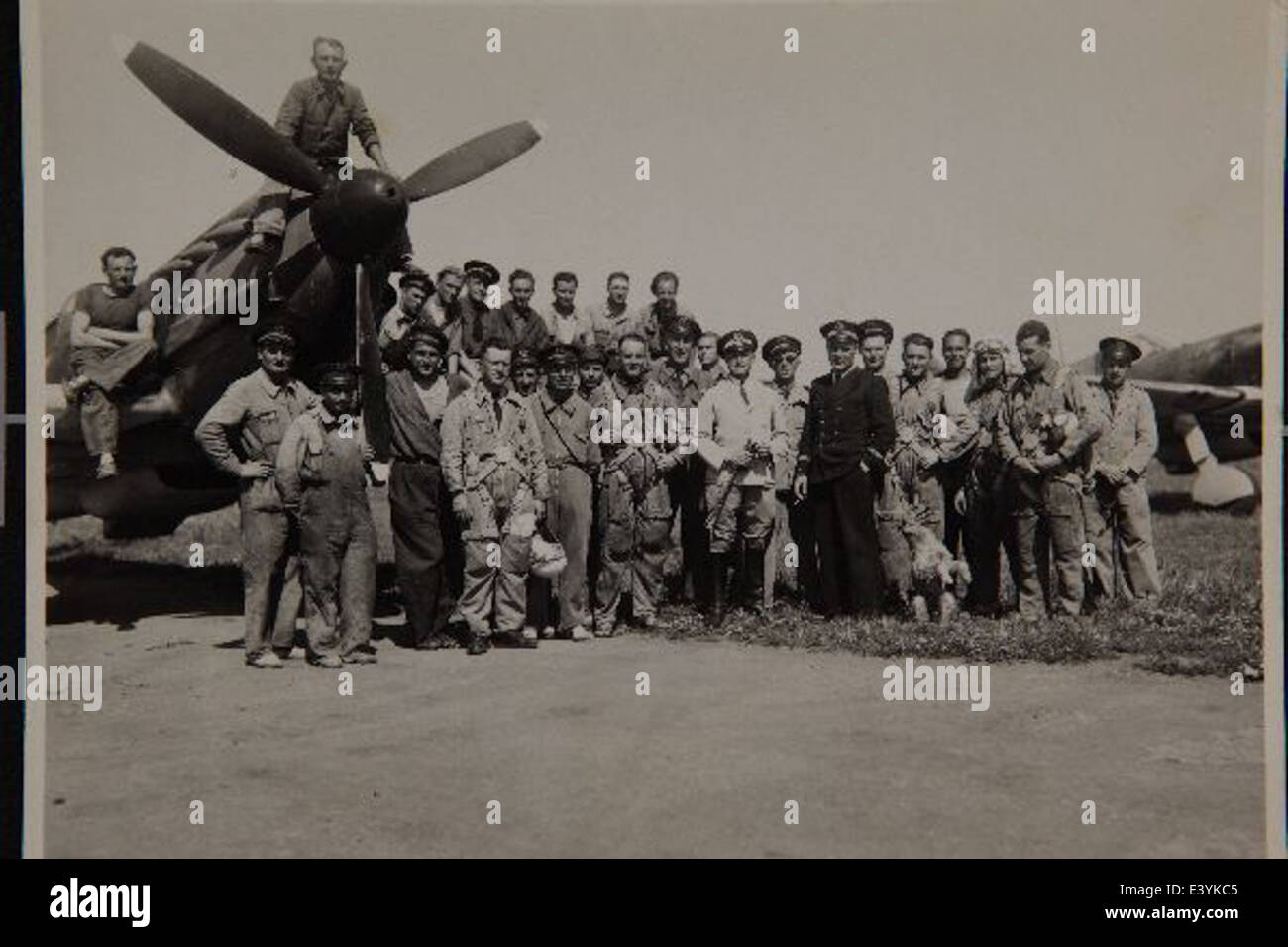 A photograph of the Dewoitine D520, a French fighter aircraft used ...