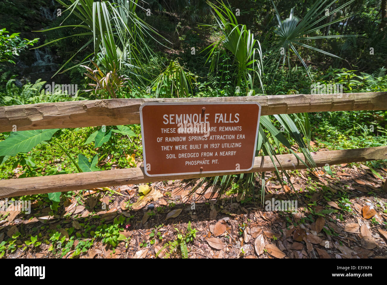 Rainbow Springs State Park is the source of the Rainbow River in North ...