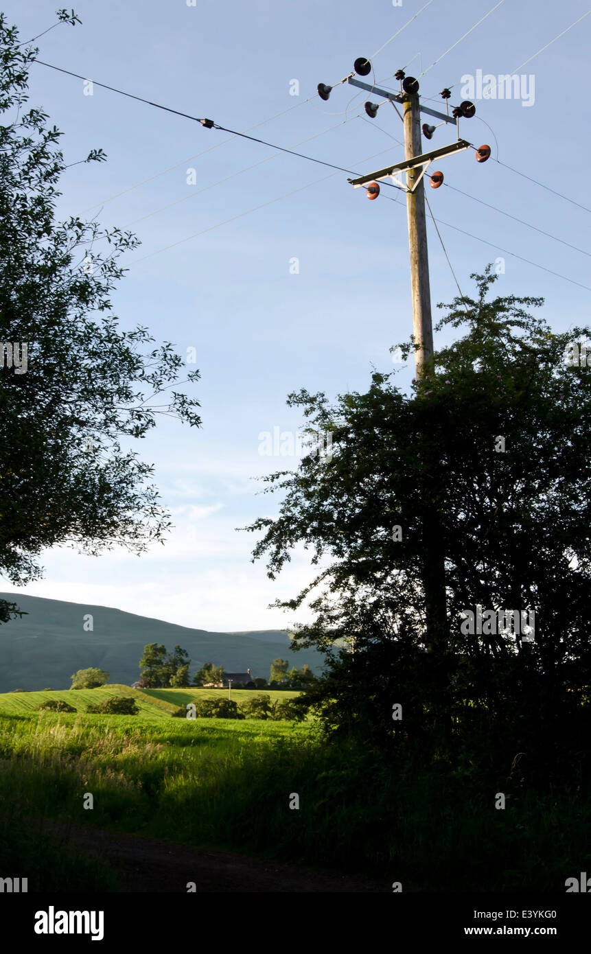 Wooden powerline pole with wires going in 2 directions Stock Photo - Alamy