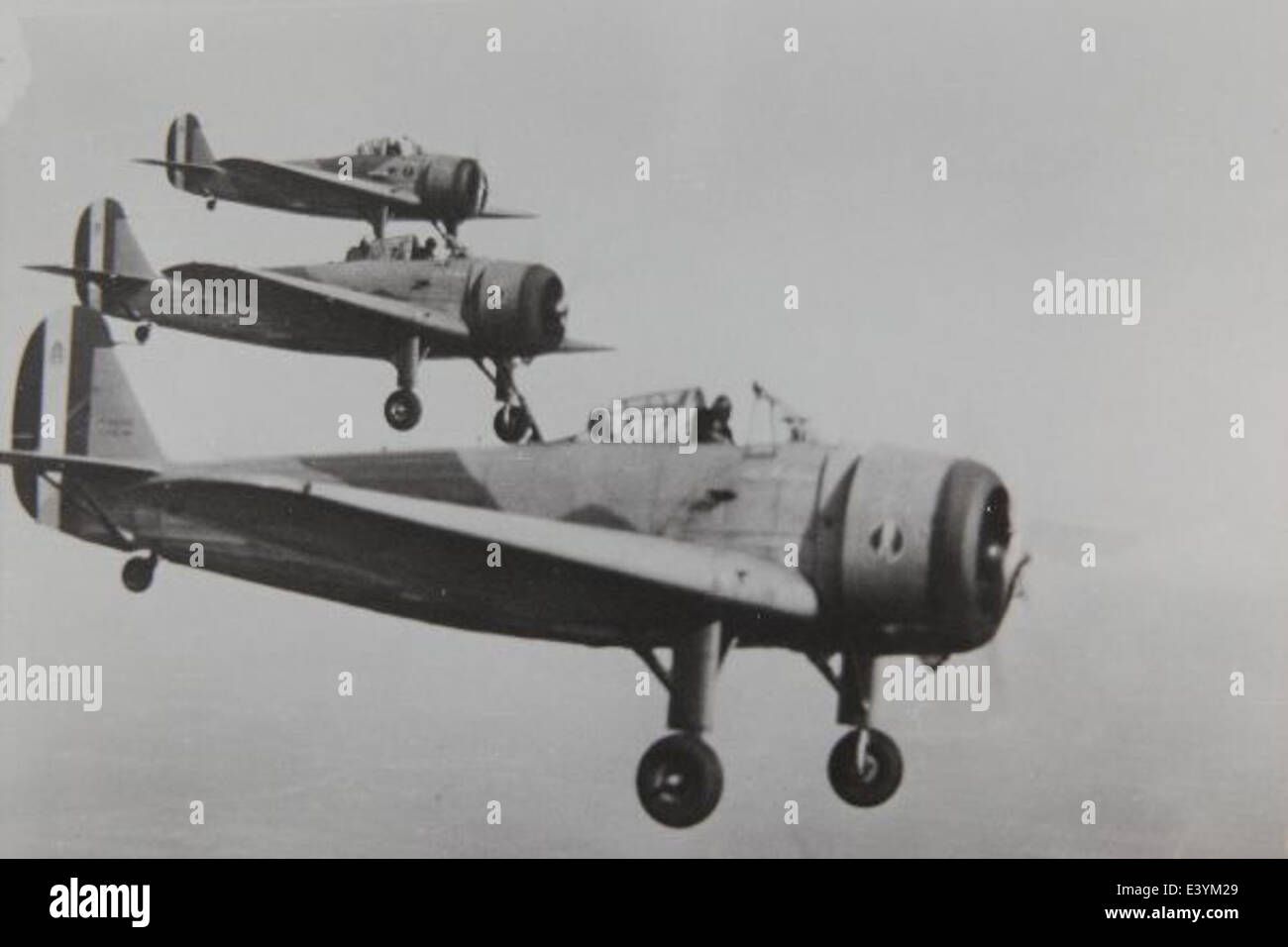 This image shows the Caproni AP1, an Italian-built aircraft designed ...