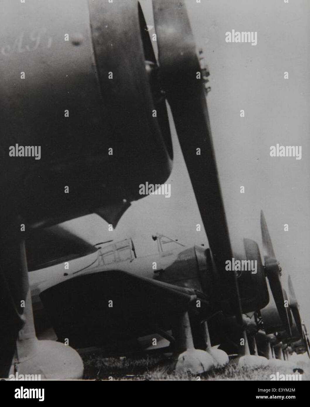 Photograph of a Caproni AP1, an early aviation aircraft, displayed at ...