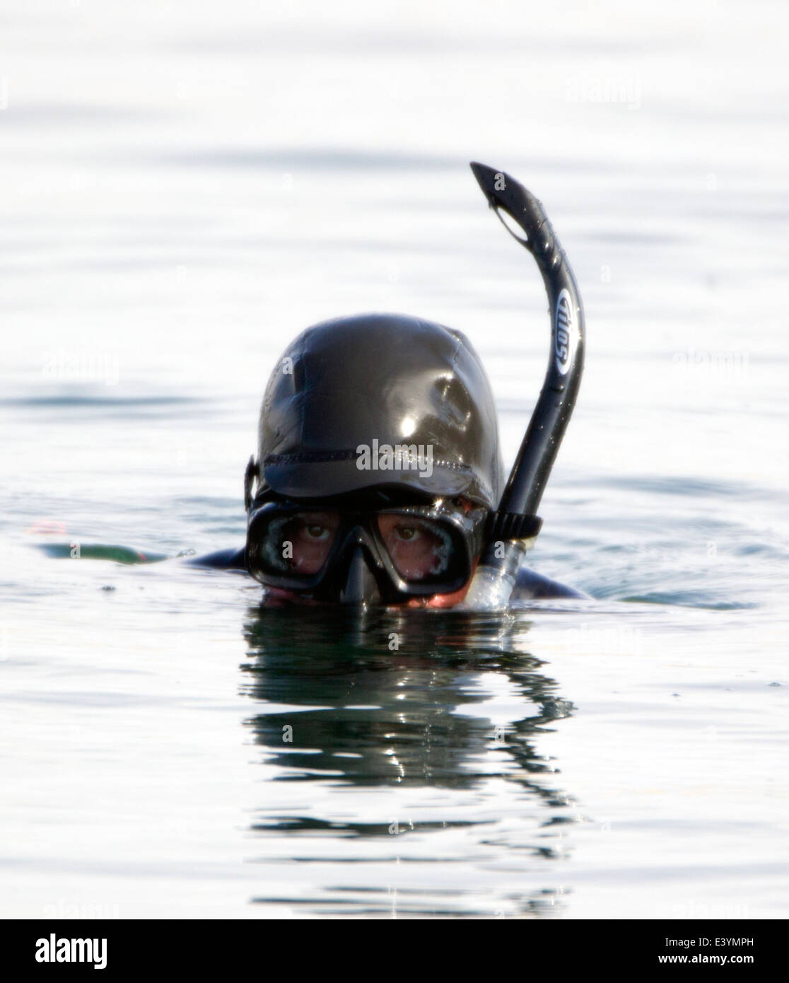 Snorkeler head above water hi-res stock photography and images - Alamy