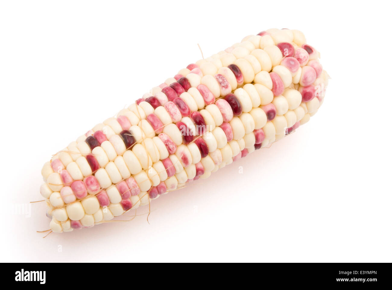 colorful corn with clipping path Stock Photo - Alamy