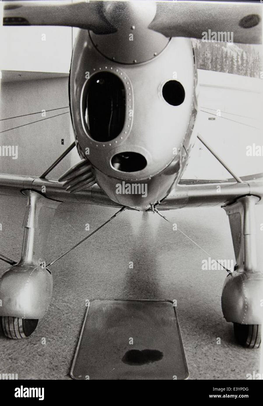 A photograph of a Ryan STA aircraft, a small civilian plane, captured ...