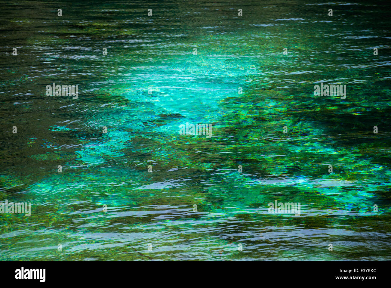 Rainbow Springs State Park is the source of the Rainbow River in North ...