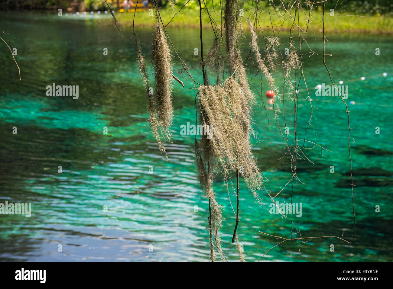 Rainbow Springs State Park is the source of the Rainbow River in North ...