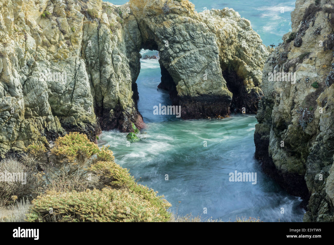 Point Lobos Park Stock Photo - Alamy