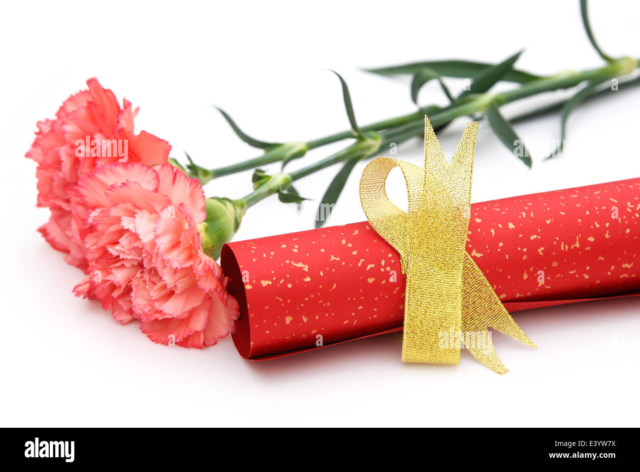paper scroll with gold bow and carnation on white Stock Photo - Alamy