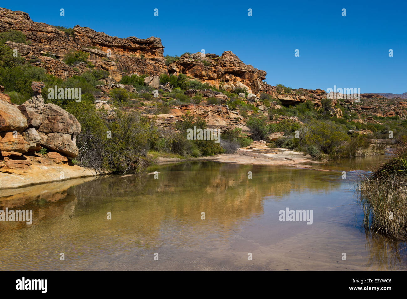 Scenery, Bushmans Kloof Wilderness Reserve, South Africa Stock Photo ...