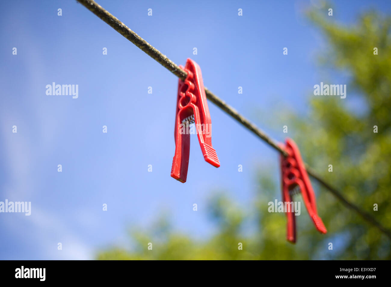 Blue plastic clothes pegs hi-res stock photography and images - Alamy