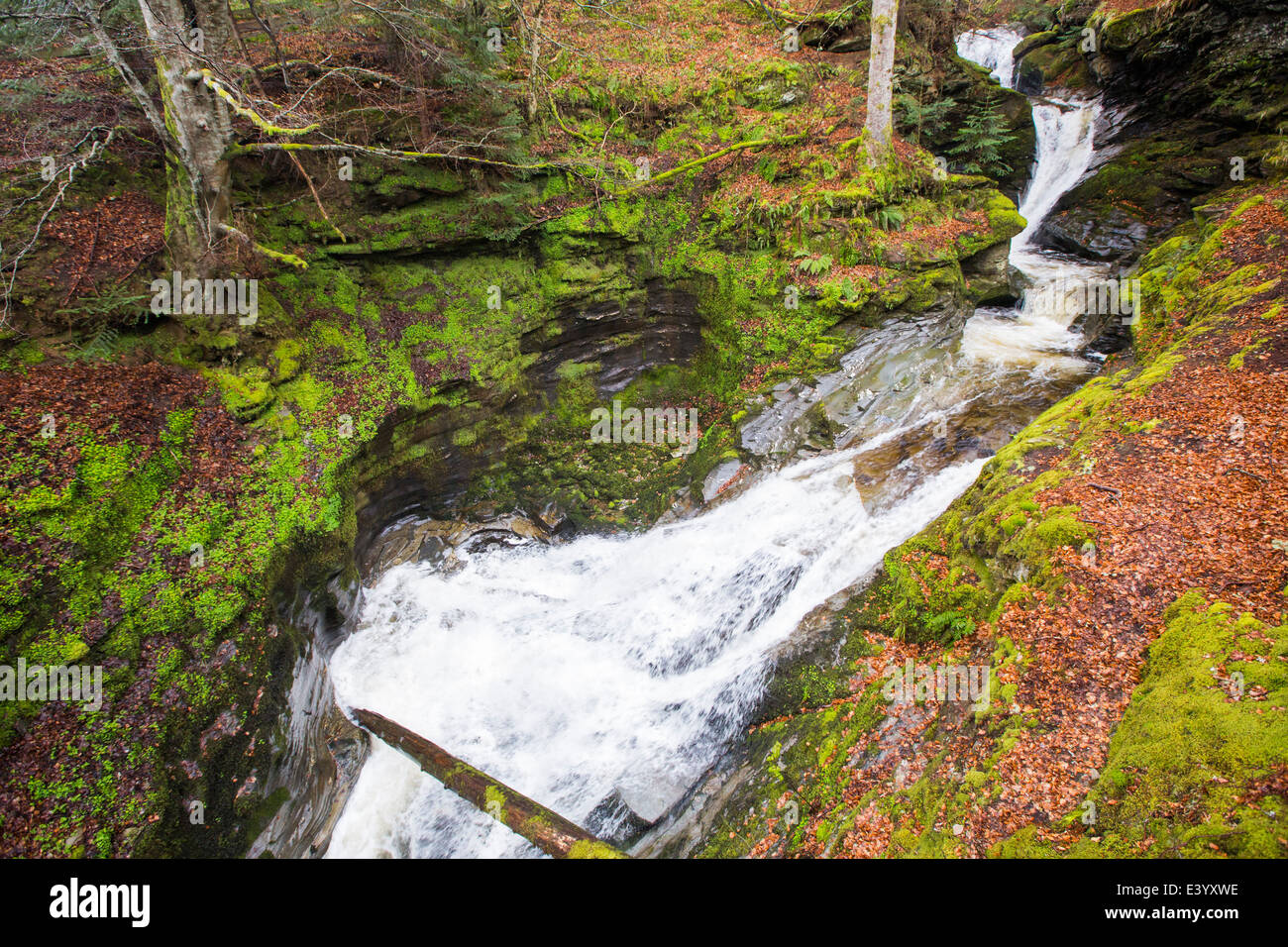 The Falls of Acharn on the side of Loch Tay, Scotland, UK Stock Photo ...
