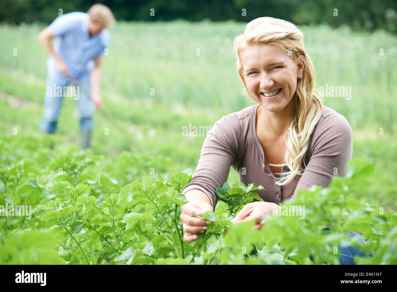 Man working farm hi-res stock photography and images - Alamy