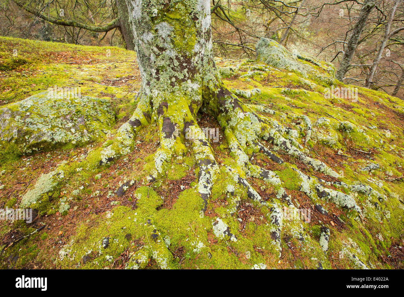 Falls of acharn scotland hi-res stock photography and images - Alamy