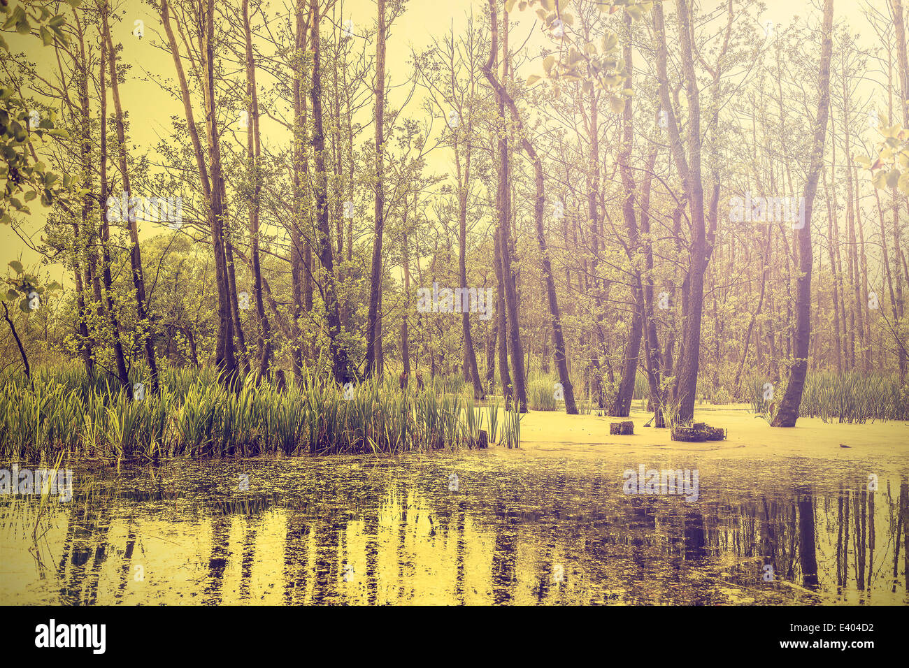 Vintage nature background Stock Photo - Alamy