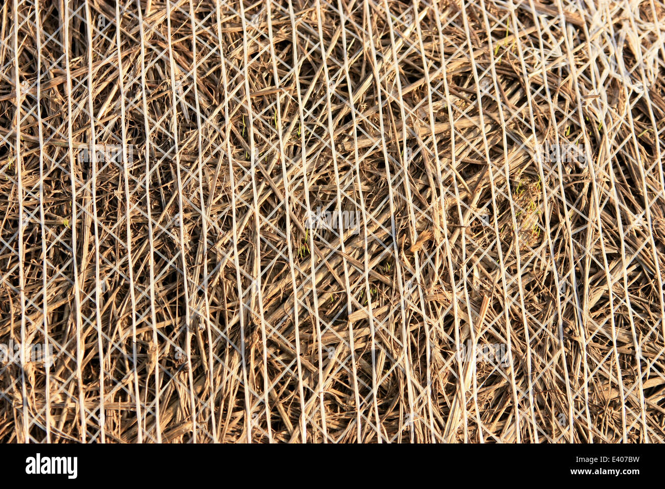Texture network hi-res stock photography and images - Alamy